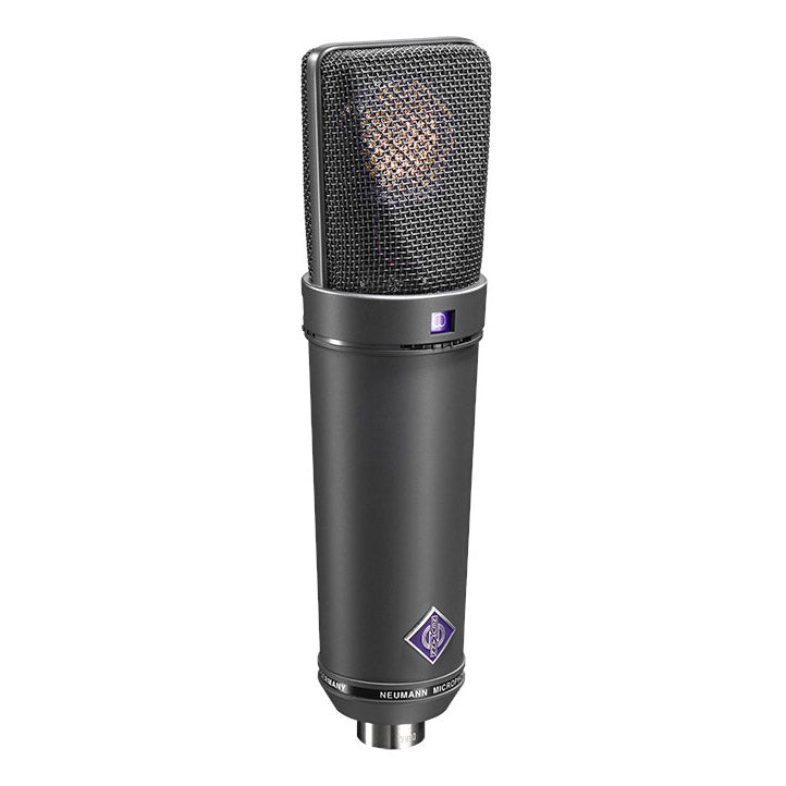 Neumann U89 I Multi-Pattern Studio Condenser Microphone | Color: Black ...
